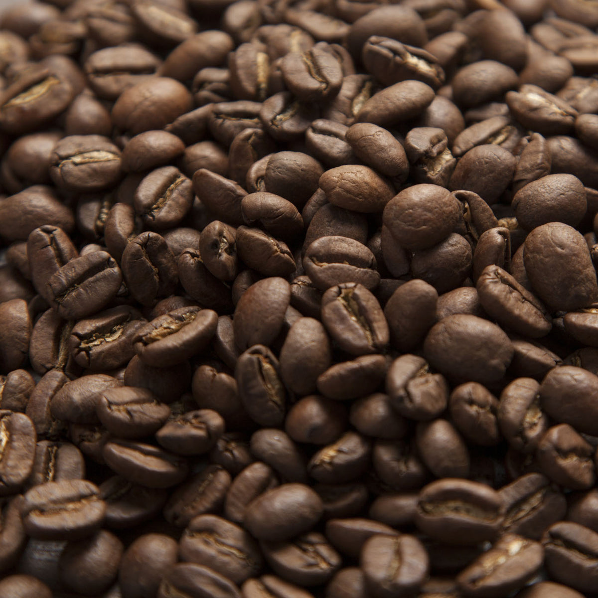 Jamaican Blue Mountain – LUXTANA